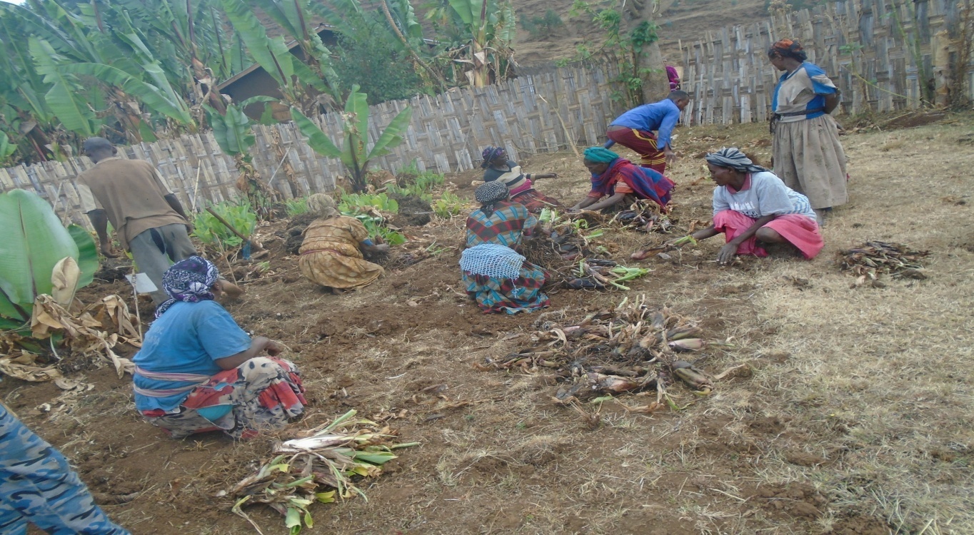 Improving the Livelihood of women of Southwest Ethiopia who Depend on ...